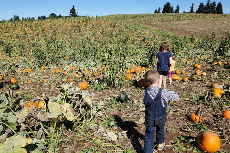 YES students build career readiness skills with paid internships – ESD 112